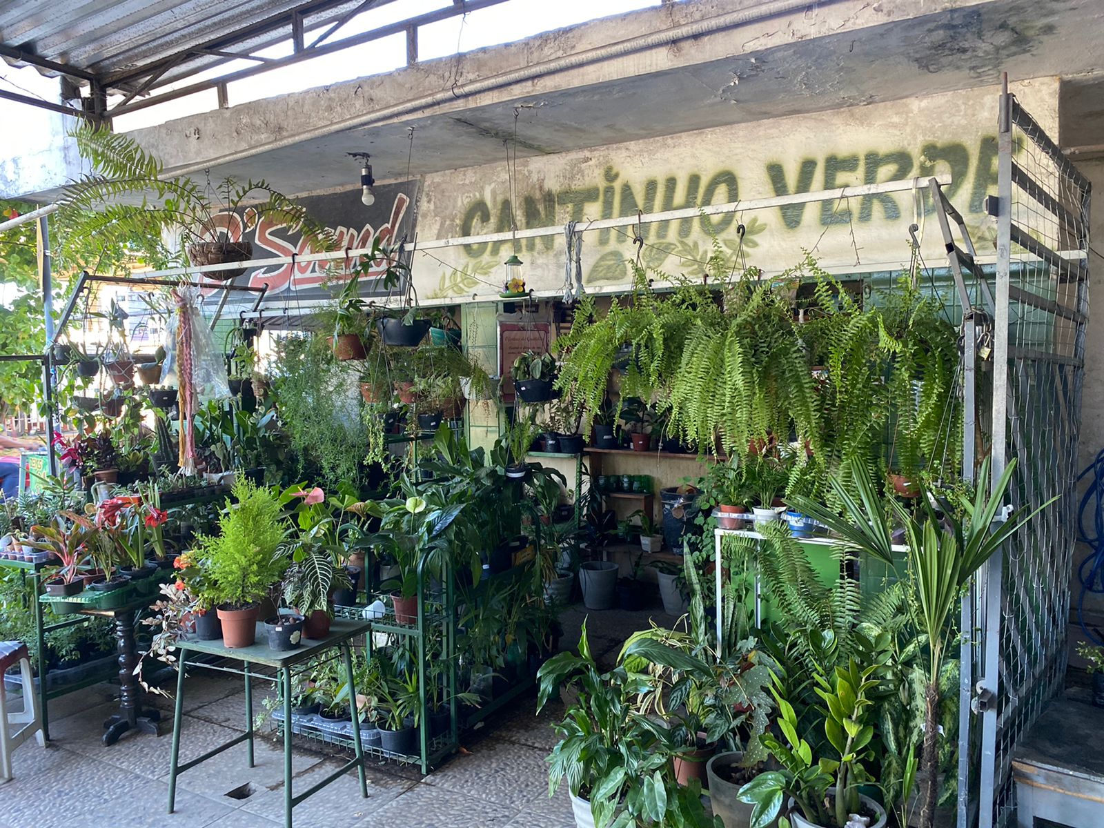 Cantinho Verde - PORTAL VALENTINA - O PORTAL OFICIAL DO BAIRRO!PORTAL VALENTINA – O PORTAL ...