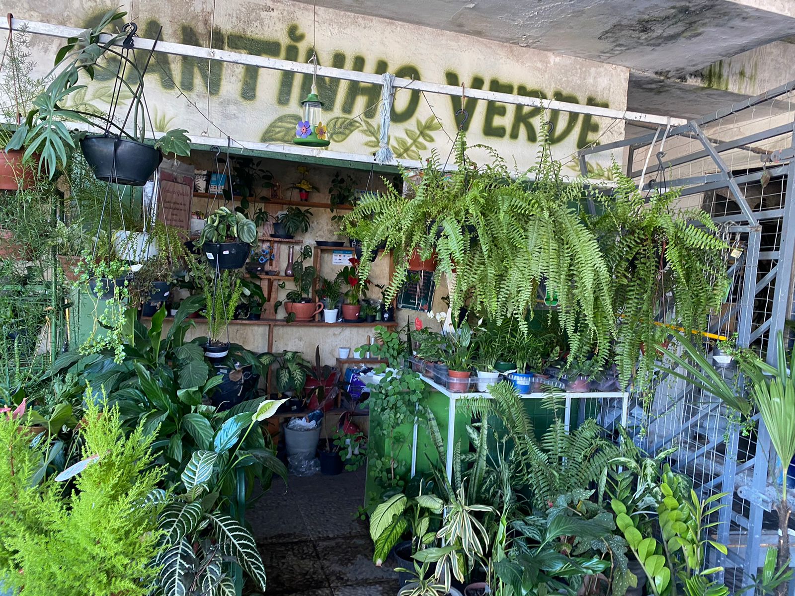 Cantinho Verde - PORTAL VALENTINA - O PORTAL OFICIAL DO BAIRRO!PORTAL VALENTINA – O PORTAL ...